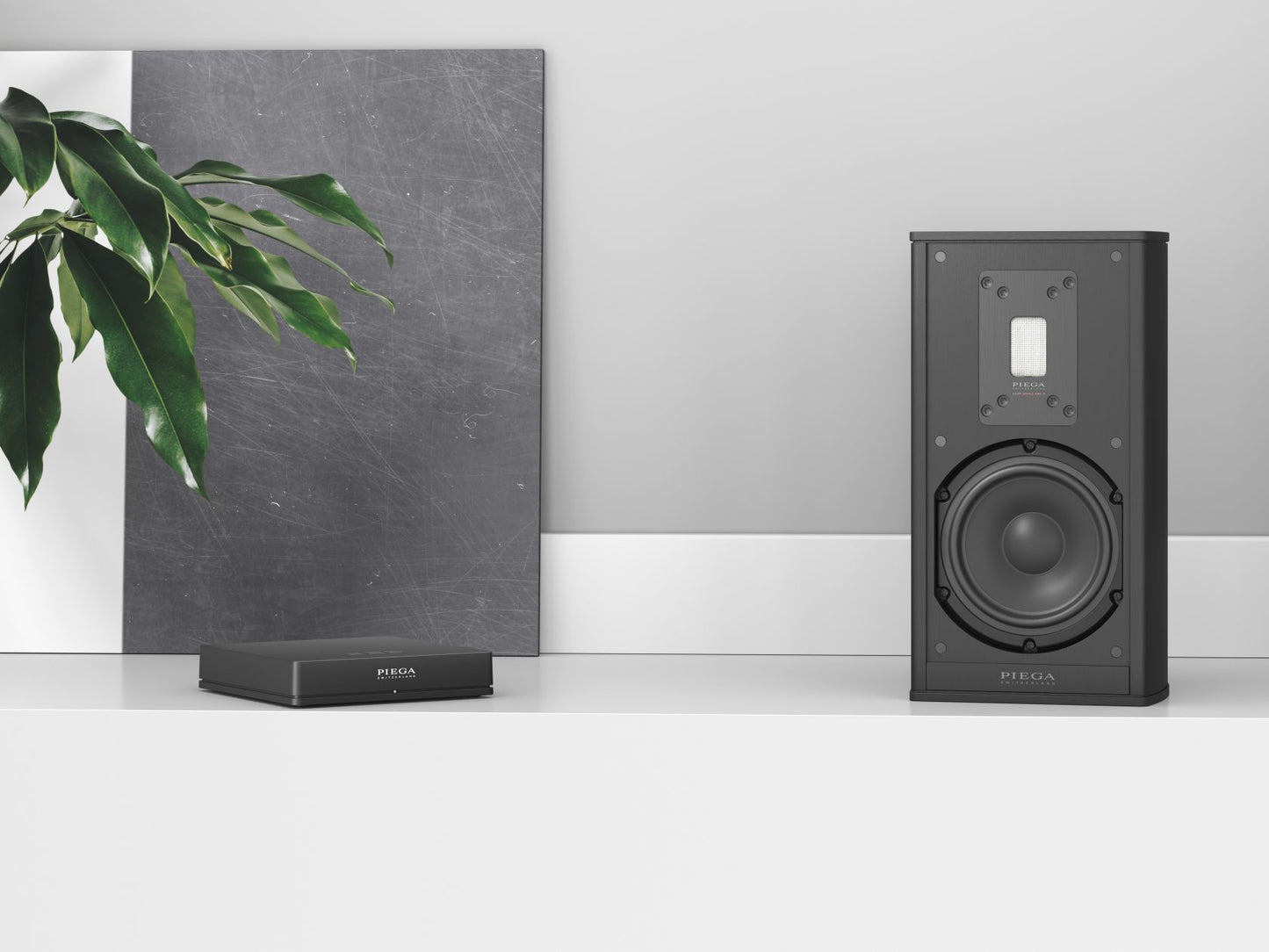 Wireless – PIEGA USA