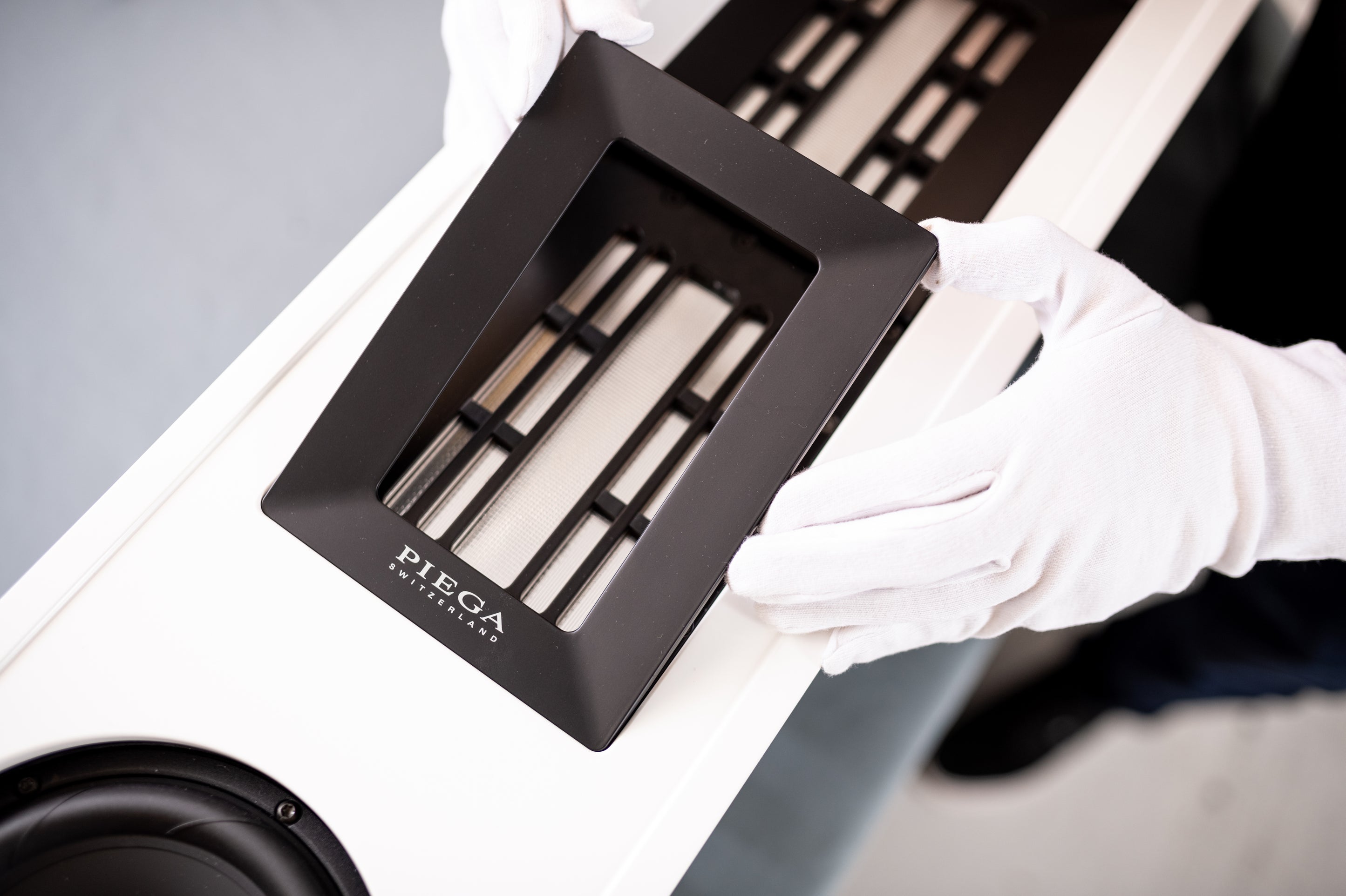 PIEGA USA - Premium Swissmade Loudspeakers